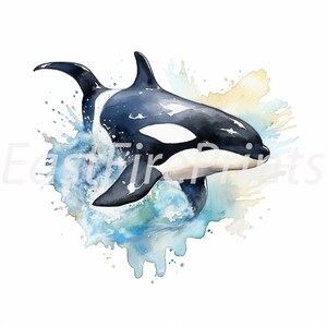 20 Watercolor Orca Clipart Set Orca Clipart PNG Cute Whale Clipart ...
