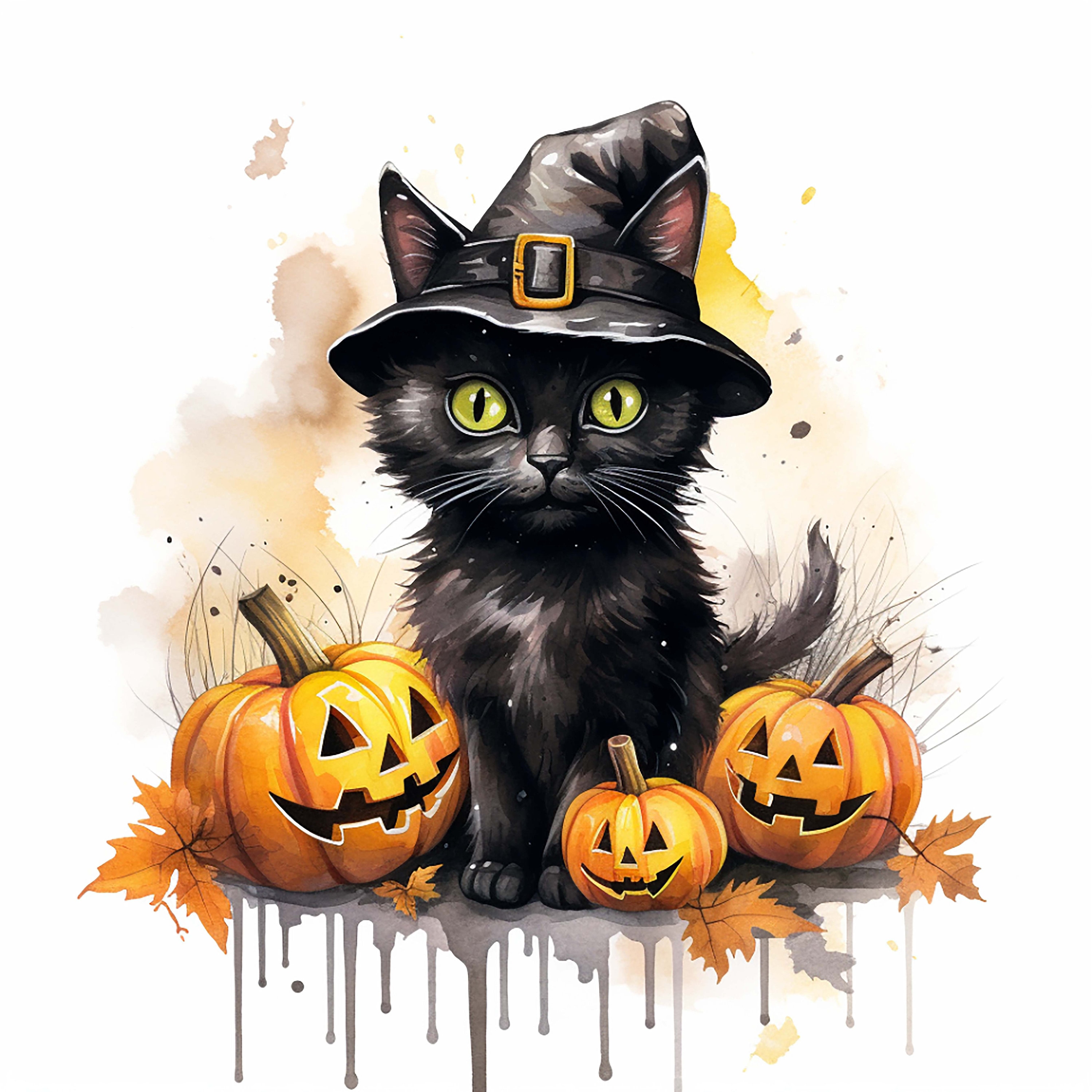 Halloween Black Cat Clipart High Quality Png Halloween - Etsy
