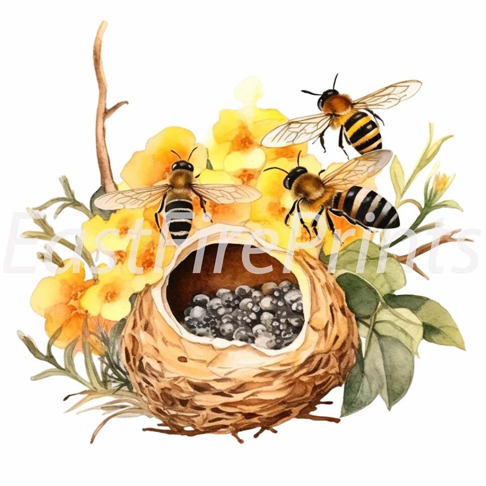 20 Watercolor Honeybee Clipart Bundle Bee Illustrations - Etsy