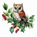 Watercolor Cute Winter Owls Clipart PNG, Christmas and Winter Clip Art ...