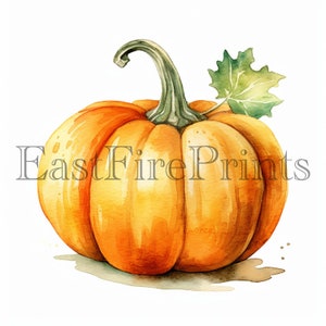 20 PNG Watercolor Pumpkin Clipart Instant Download, Fall Clipart ...