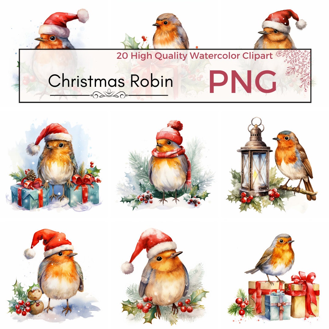 Christmas Robin Clipart, High Quality PNG, Christmas Clipart, Digital ...