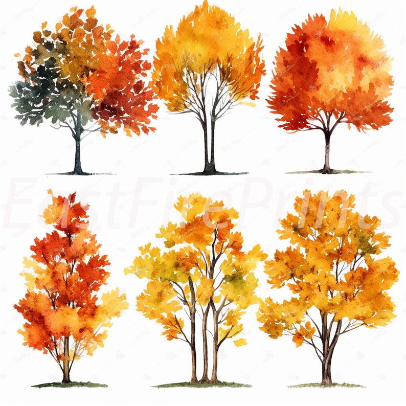 Watercolor Autumn Clipart Set Card Making 18 PNG Images - Etsy