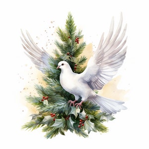 Christmas White Dove Clipart, Holiday Png, Christmas Clipart Bird Png ...
