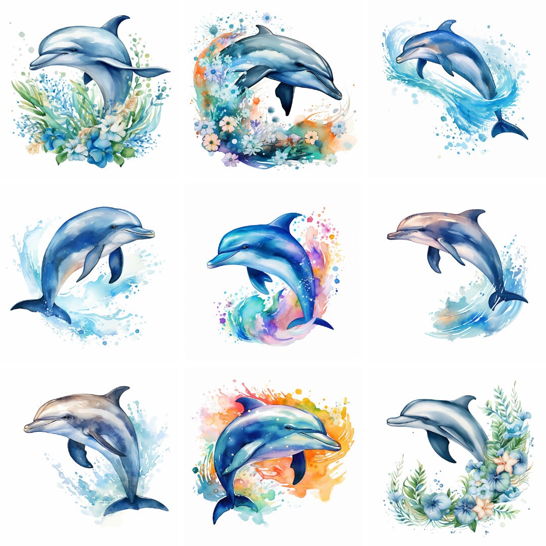 Watercolor Dolphin Clipart Animal Graphics Dolphin - Etsy