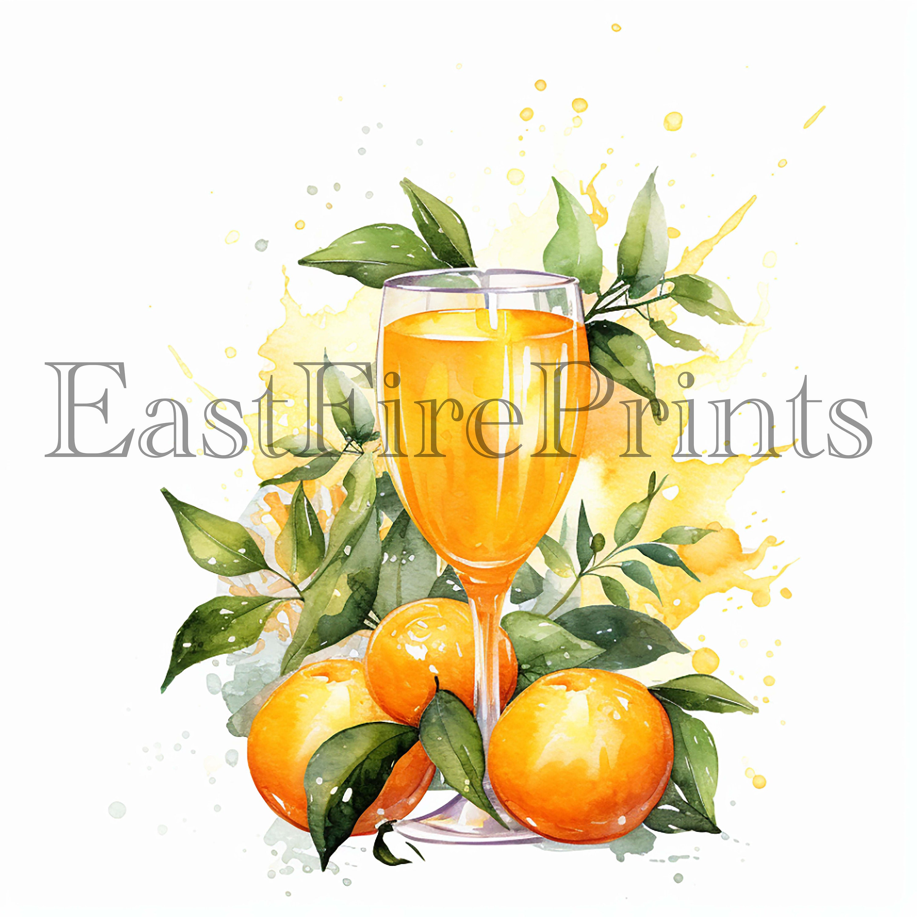 Watercolor Mimosa Clipart PNG Cocktail Summer Drink Brunch - Etsy