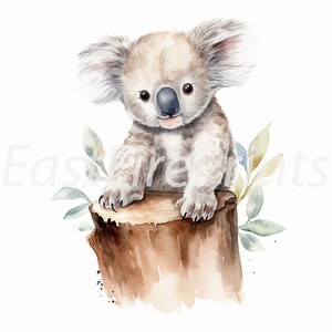 20 Watercolor Koala Bear Clipart Set - Cute Koala PNG - Koala PNG ...