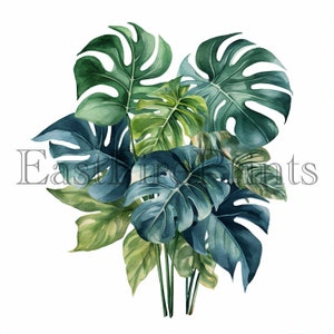 20 Watercolor Monstera Clipart Set - Tropical Leaf PNG - Digital ...