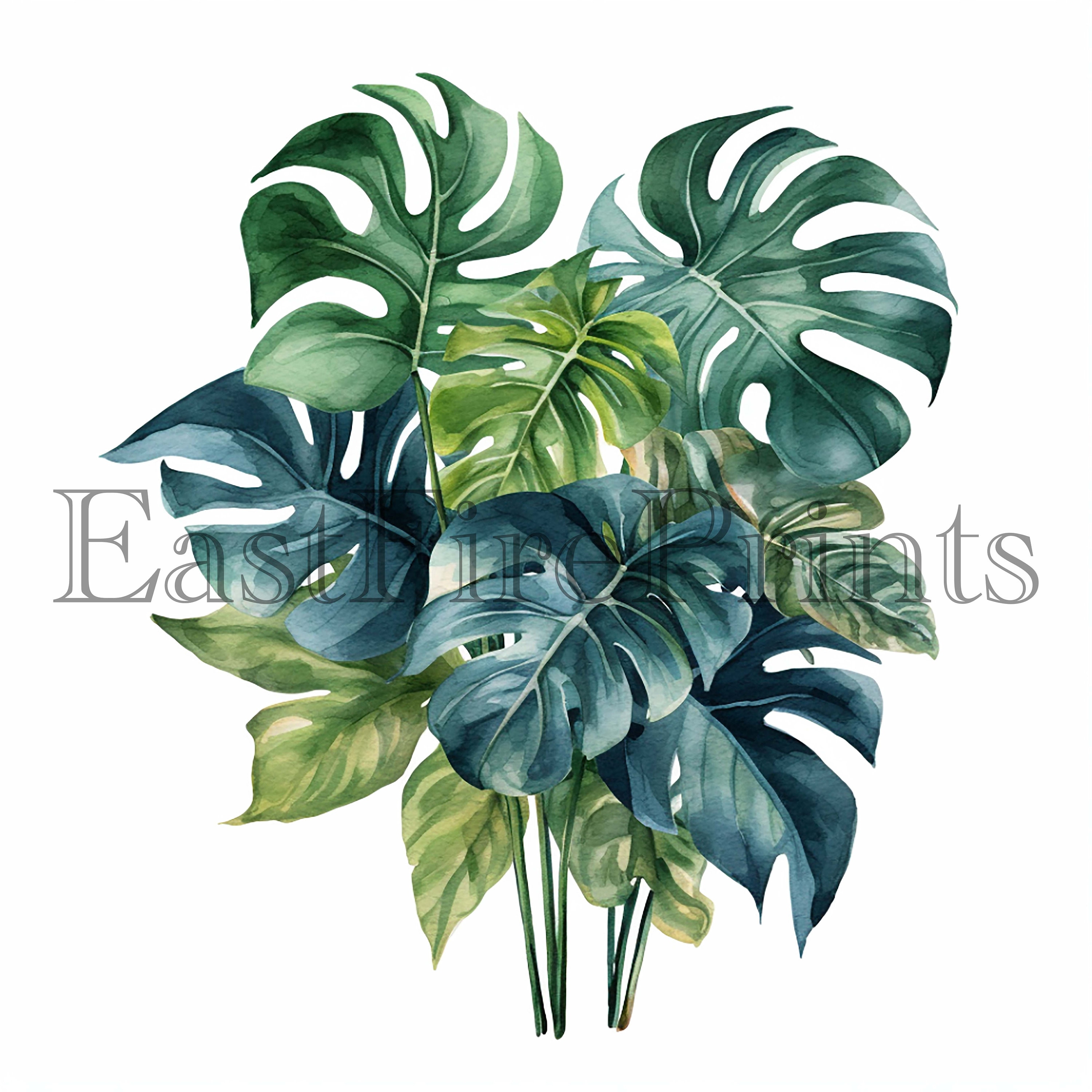 20 Watercolor Monstera Clipart Set Tropical Leaf PNG - Etsy