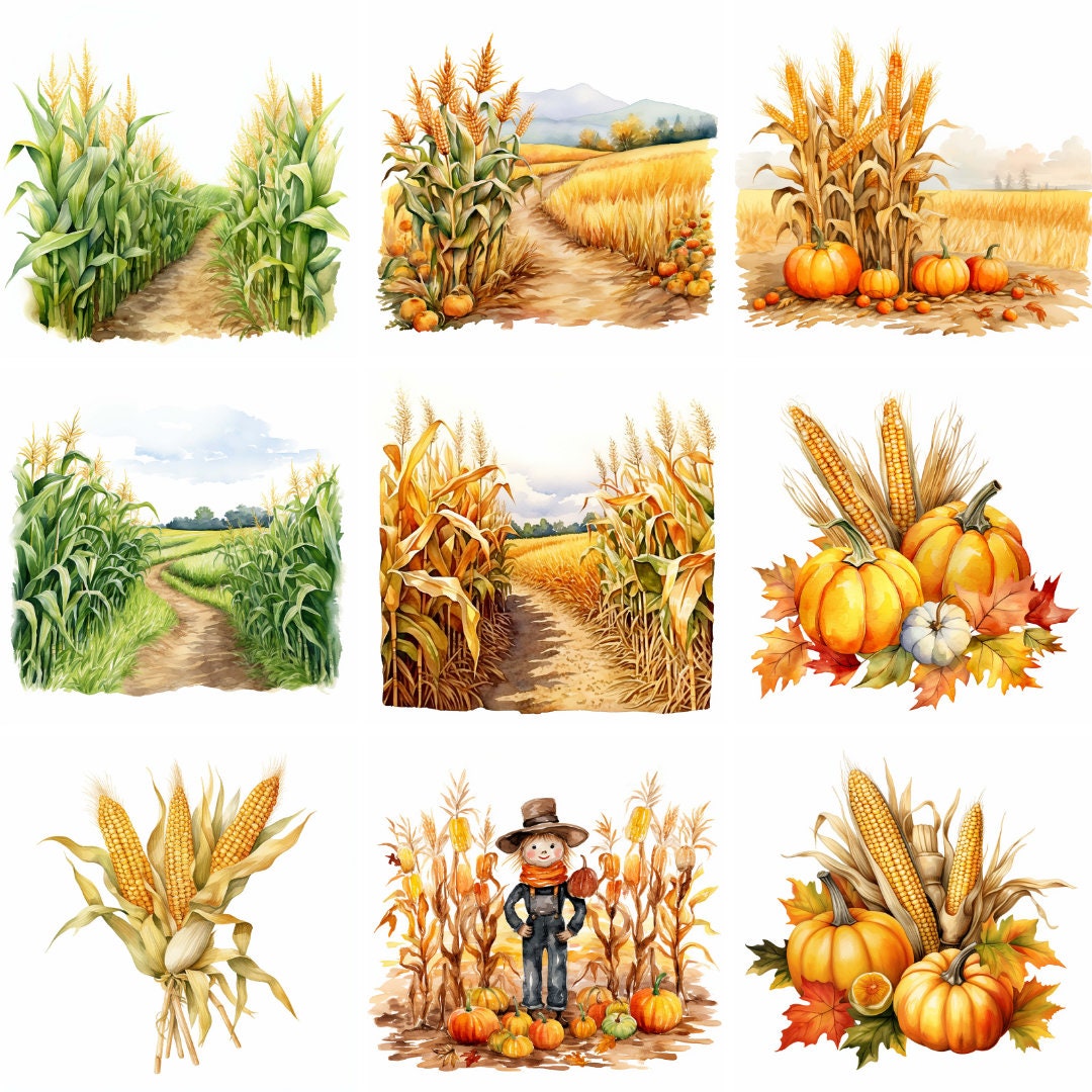 Corn Clipart High Quality Png Autumn Sublimation Fall - Etsy