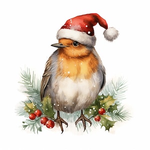 Christmas Robin Clipart, High Quality PNG, Christmas Clipart, Digital ...