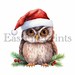 Watercolor Christmas Owl Clipart High Quality Png Cute Owl - Etsy