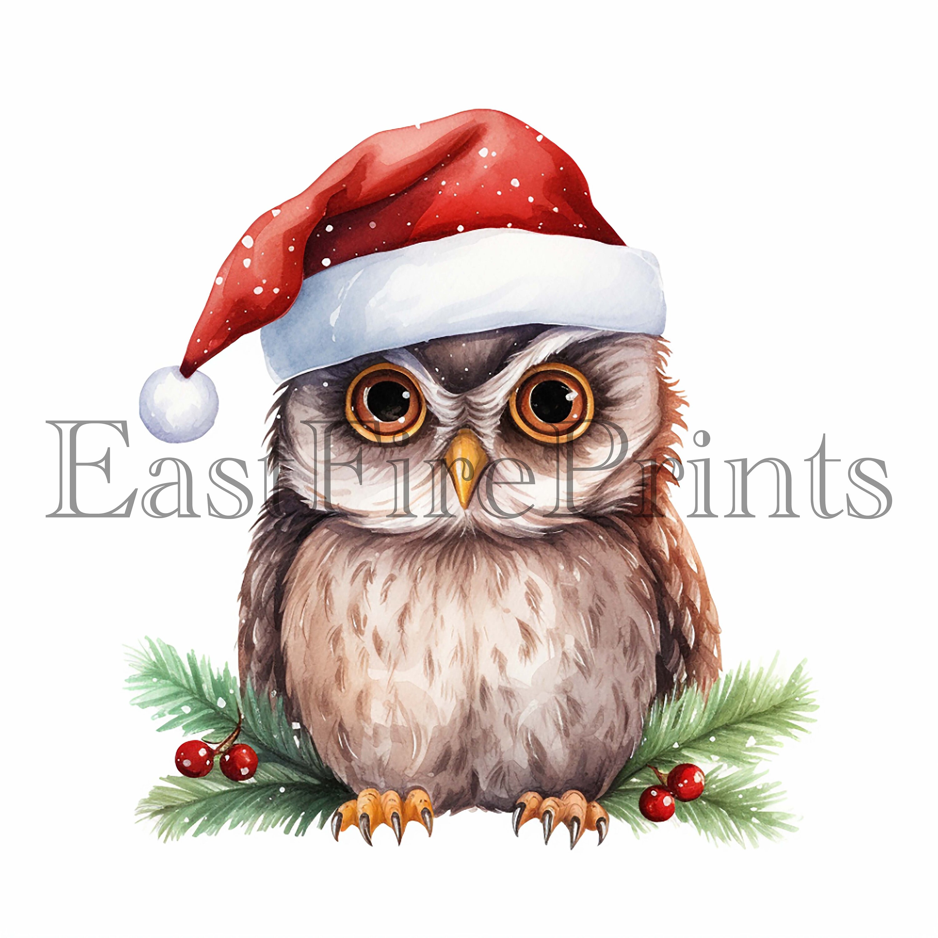 Watercolor Christmas Owl Clipart High Quality Png Cute Owl - Etsy