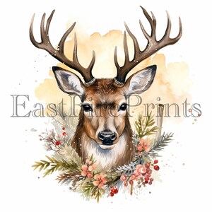 Watercolor Reindeer Clipart PNG Files, Christmas Deer Clip Art , Winter ...