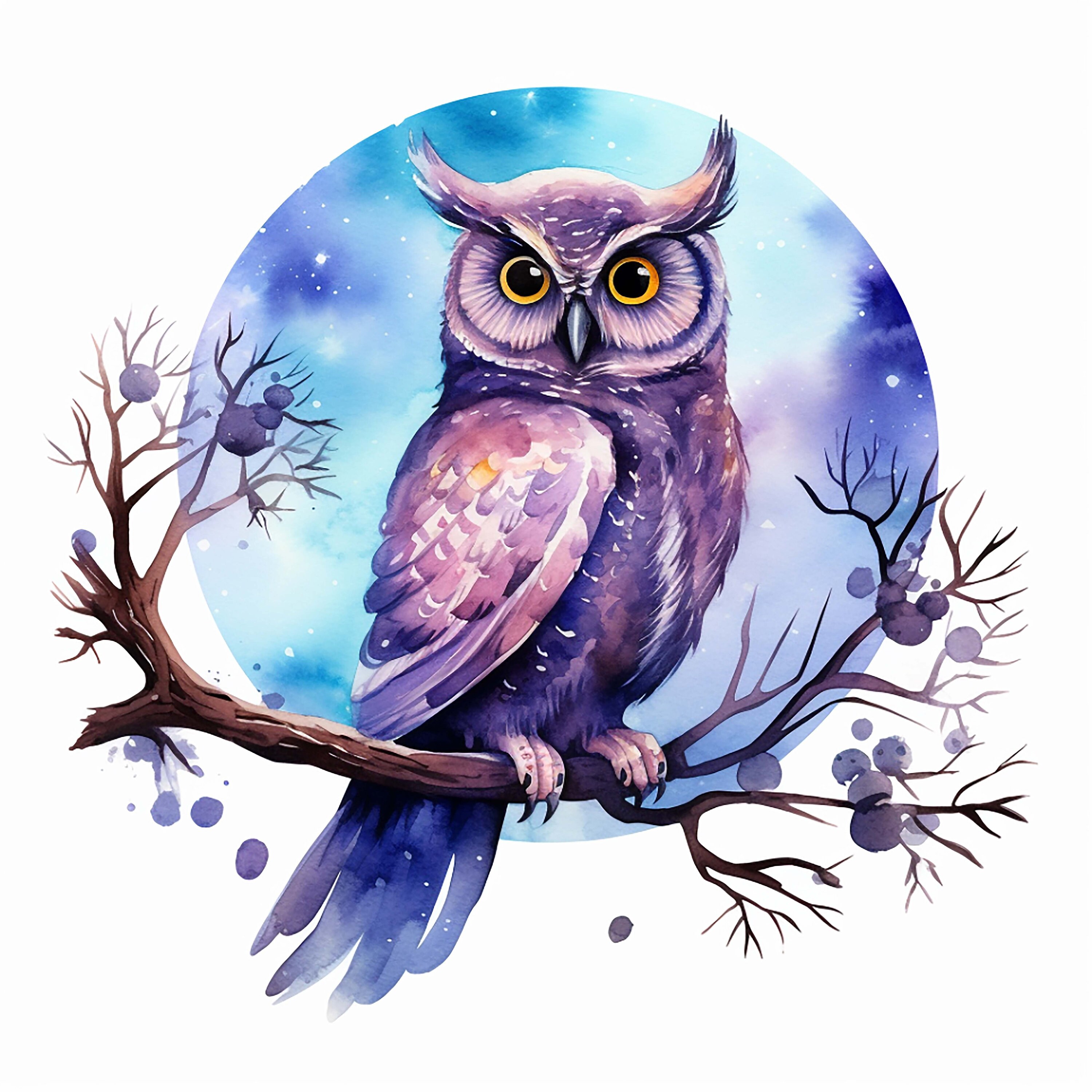 Watercolor Celestial Owl Clipart Galaxy Fantasy Owl Clip Art - Etsy