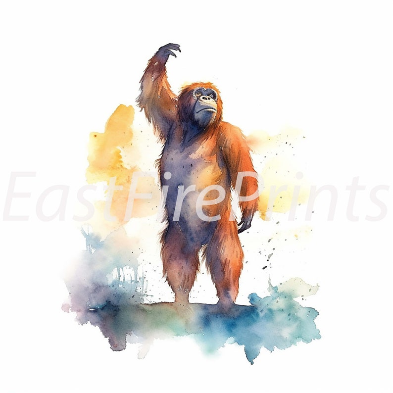 20 Watercolor Orangutan Clip Art Bundle Primate - Etsy