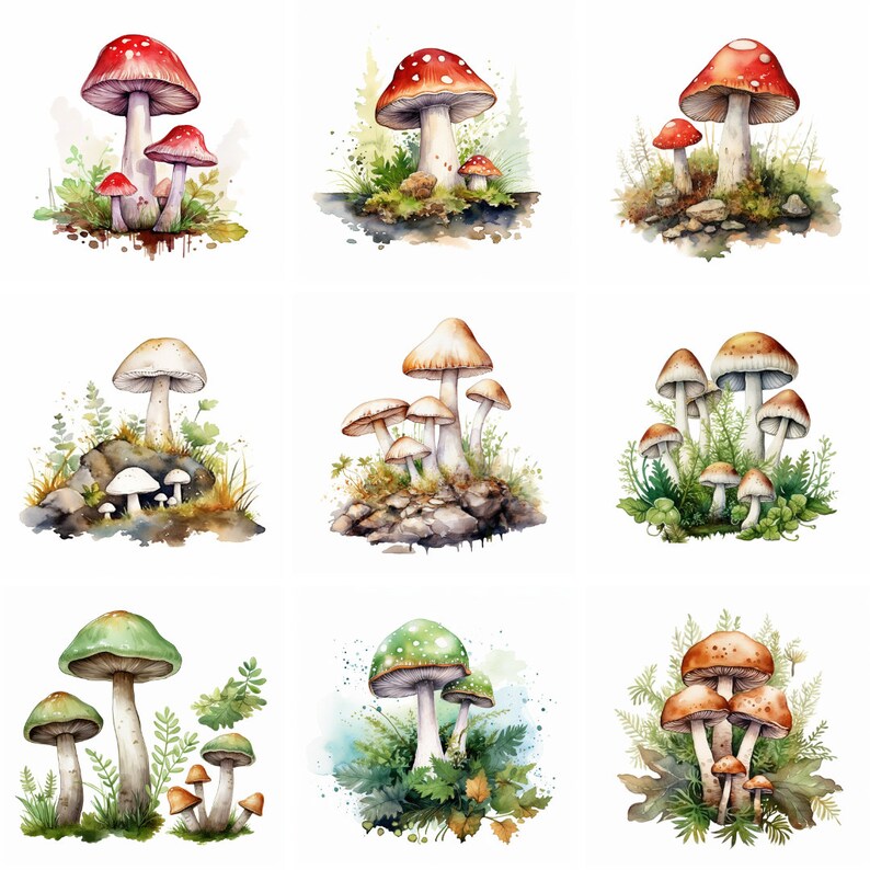 19 Watercolor Mushroom Clipart PNG Cute Forest Nature - Etsy