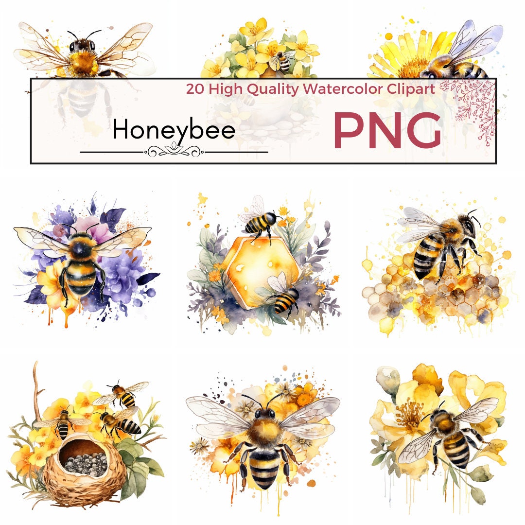 20 Watercolor Honeybee Clipart Bundle | Bee Illustrations | Digital ...