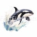 20 Watercolor Orca Clipart Set - Orca Clipart PNG - Cute Whale Clipart ...