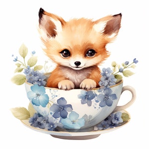 Fox in Teacup Clipart, High Quality PNG, Cute Woodland Animals PNG ...