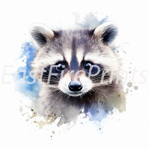 20 Watercolor Raccoon Clipart Set - Baby Raccoon PNG - Nursery Clipart ...