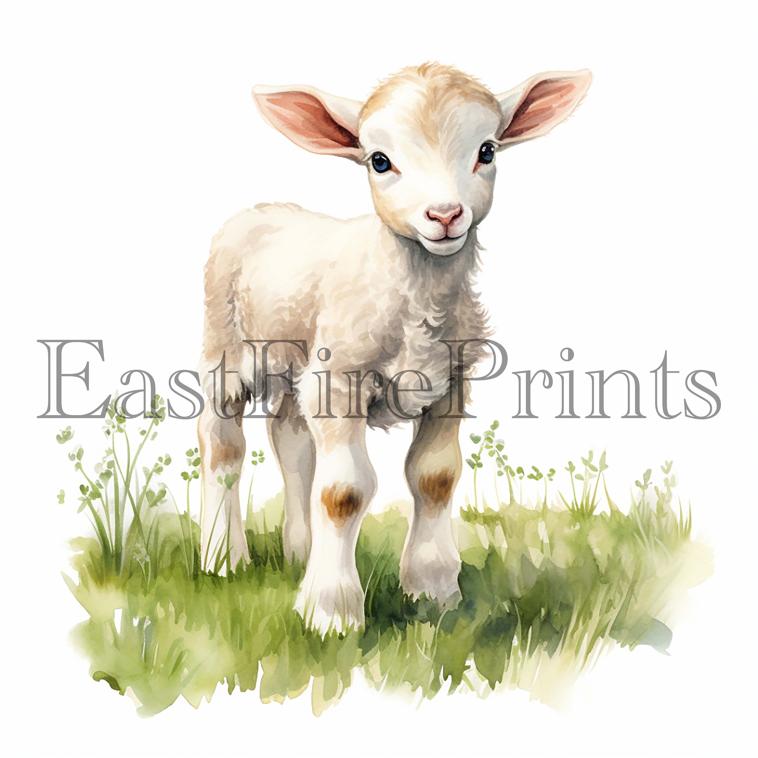 20 Baby Lamb Watercolor Clipart High Quality Png Cute Farm - Etsy