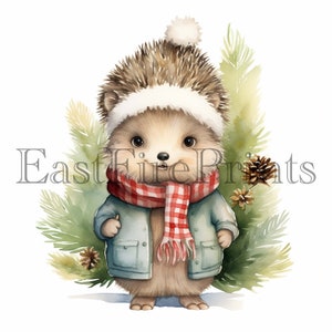 Watercolor Christmas Baby Hedgehog Clipart, High Quality Png, Winter ...