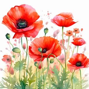 Poppy Clipart, High Quality PNG, Floral PNG, Poppy Flower Clipart ...