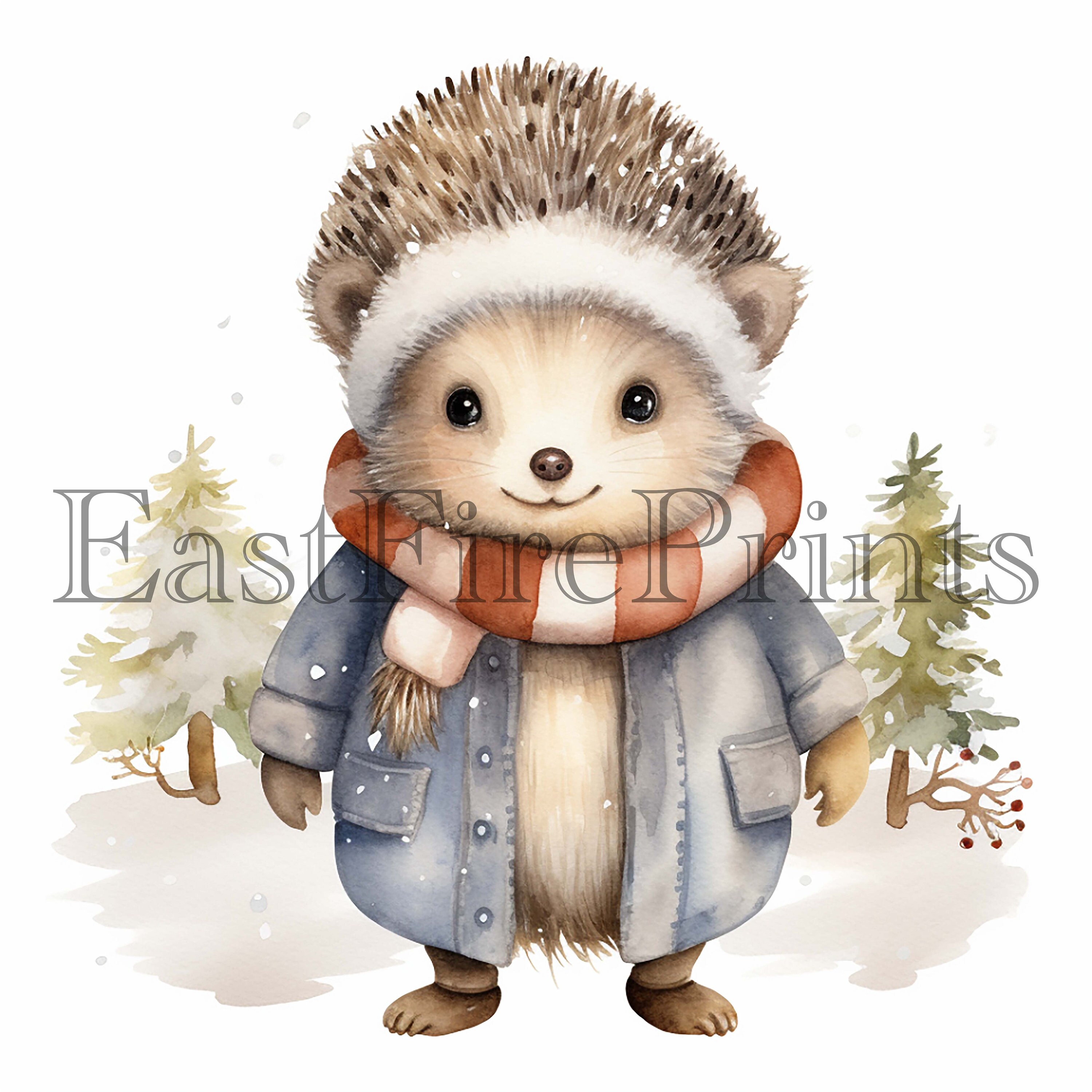 Watercolor Christmas Baby Hedgehog Clipart High Quality Png - Etsy