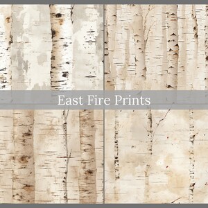 White Birch Bark Digital Paper, High Quality JPG, Birch Tree ...
