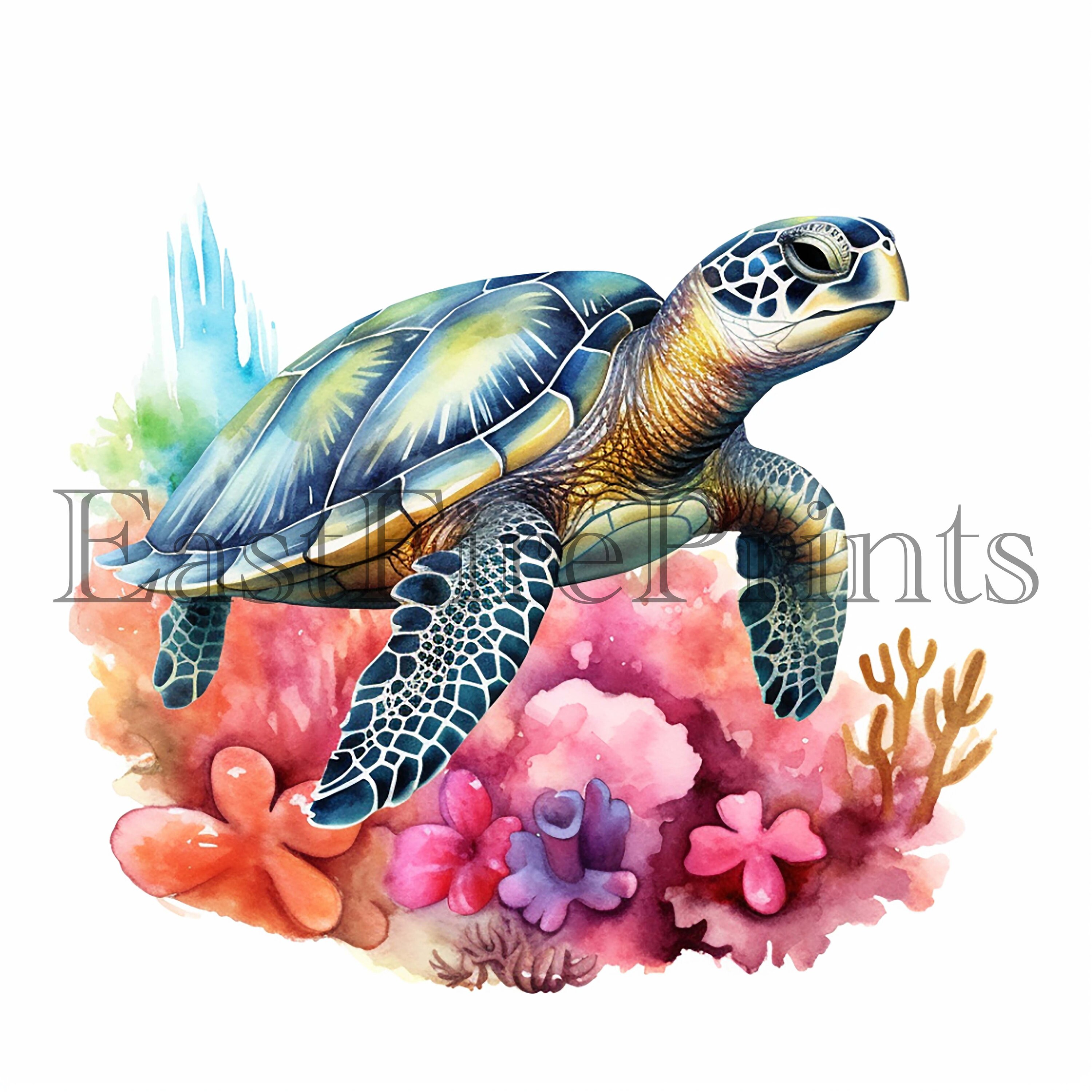 20 Watercolor Sea Turtle Clipart PNG Instant Download Cute - Etsy