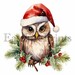 Watercolor Christmas Owl Clipart High Quality Png Cute Owl - Etsy