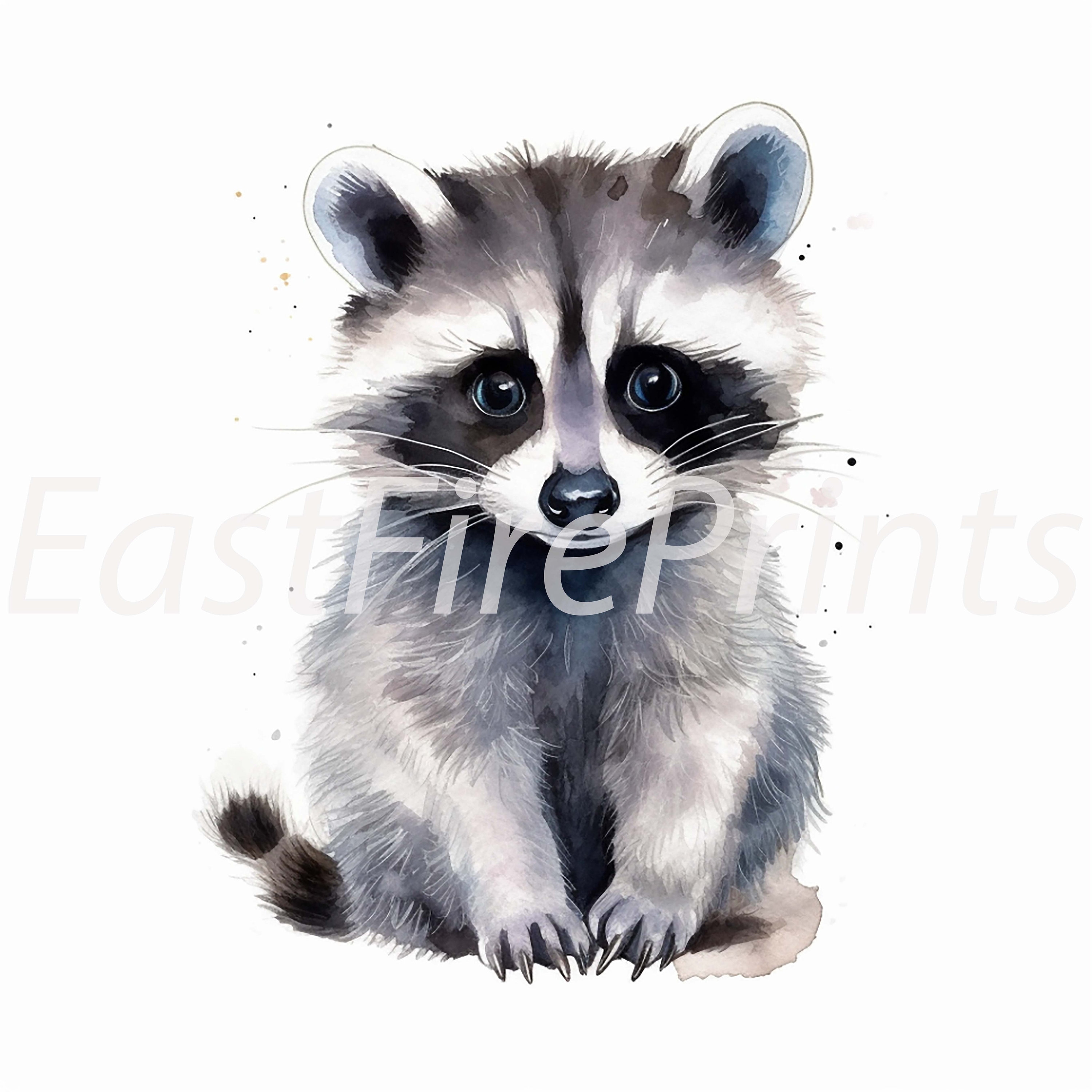 20 Watercolor Raccoon Clipart Set Baby Raccoon PNG Nursery - Etsy