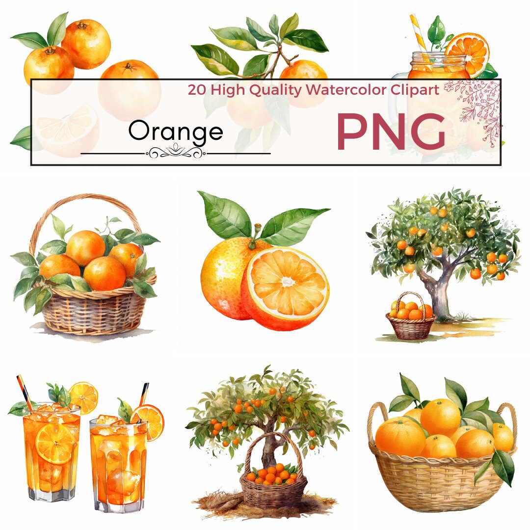 20 Watercolor Orange Clipart Pack, PNG, Citrus, Tree, Basket of Oranges ...