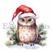 Watercolor Christmas Owl Clipart High Quality Png Cute Owl - Etsy