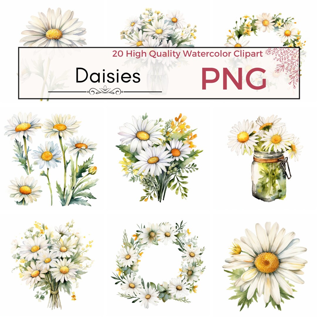 Watercolor Daisies Clipart PNG, Spring Floral Clip Art, Flowers and ...