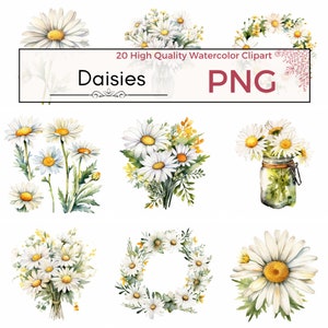 Watercolor Daisies Clipart PNG, Spring Floral Clip Art, Flowers and ...