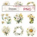 Watercolor Daisies Clipart PNG, Spring Floral Clip Art, Flowers and ...