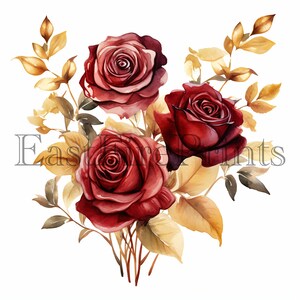 Watercolor Maroon and Gold Rose, High Quality Png, Red Rose, Flower ...