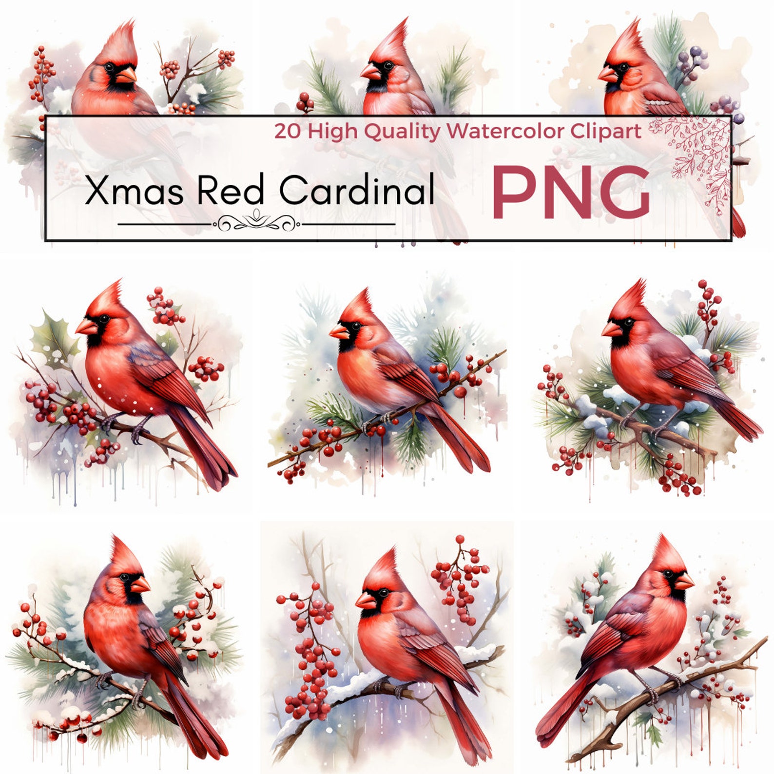 Christmas Red Cardinal Clipart High Quality PNG Digital - Etsy