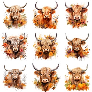 Watercolor Fall Highland Cow Clipart, High Quality Png, Floral Autumn ...
