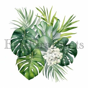 20 Watercolor Monstera Clipart Set - Tropical Leaf PNG - Digital ...