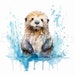 20 Watercolor Sea Otter Clipart Set Wildlife Clipart Commercial License ...