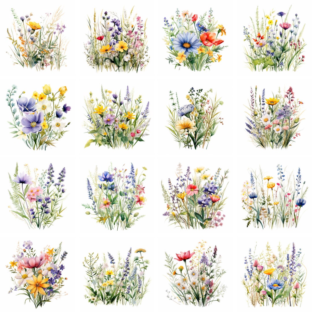 20 Wildflowers Floral Clipart, Botanical Clip Art, Wild Flowers Floral ...