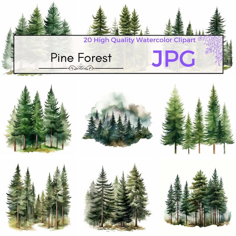 Watercolor Pine Forest Clipart Pine Tree Clipart Woodland - Etsy