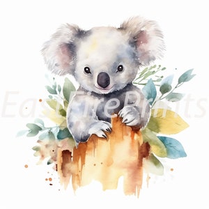 20 Watercolor Koala Bear Clipart Set - Cute Koala PNG - Koala PNG ...