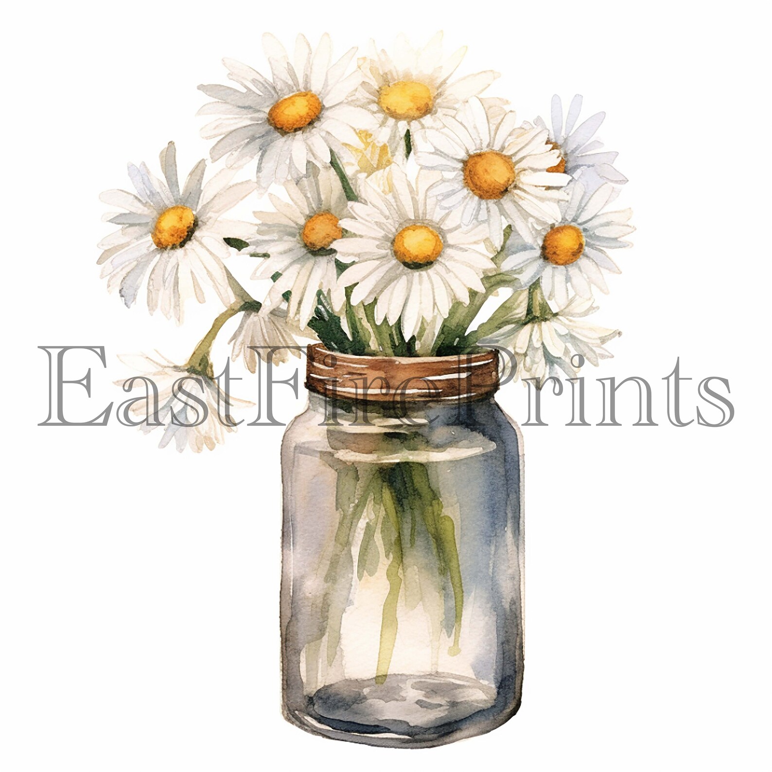Watercolor Daisies Clipart PNG, Spring Floral Clip Art, Flowers and ...