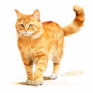 Orange Cat Clipart, High Quality PNG, Cute Kitten Clipart, Cat ...