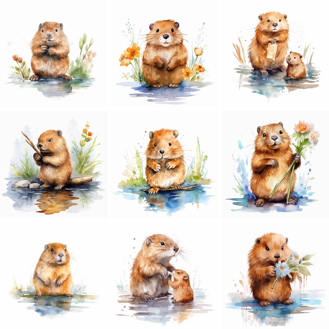 20 Watercolor Beaver Clipart Bundle Wildlife Illustrations - Etsy