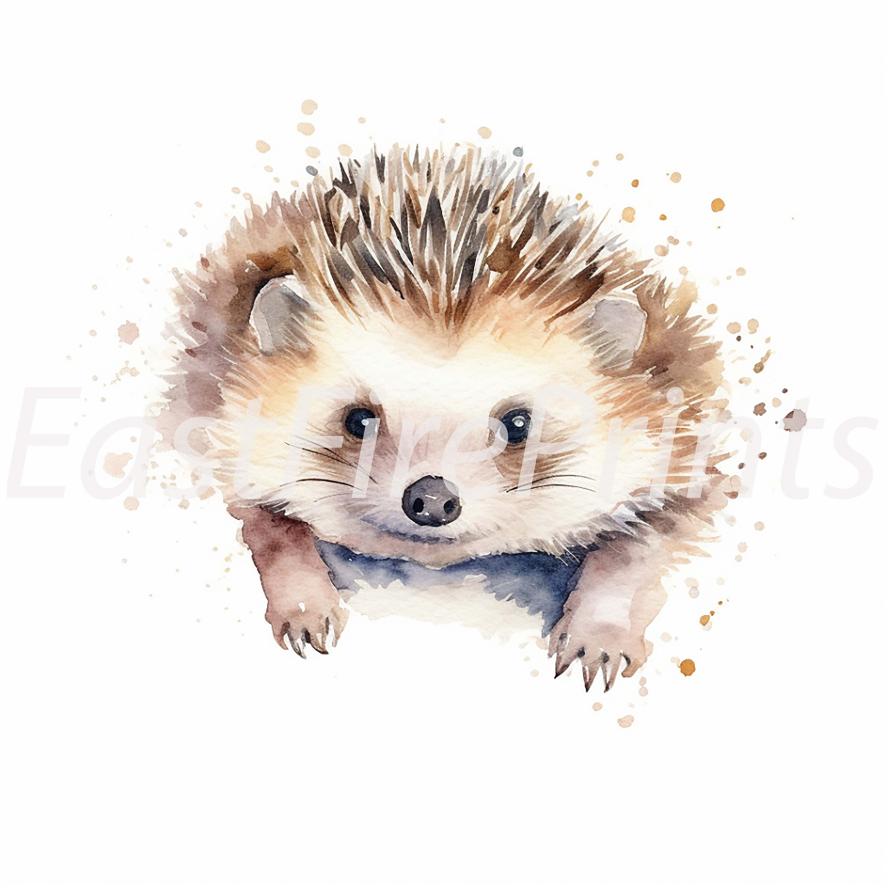 20 Watercolor Hedgehog Clipart Bundle Hedgehog Wall Art - Etsy